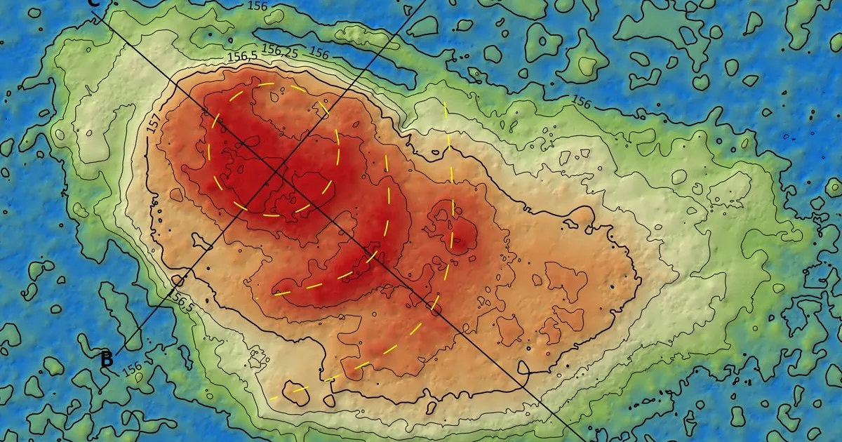 Poolast leiti 1000 aasta vanune metsa kasvanud linnus