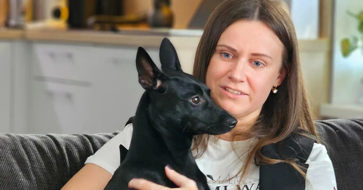 taivānas suns - TVNET - Domā un neklusē