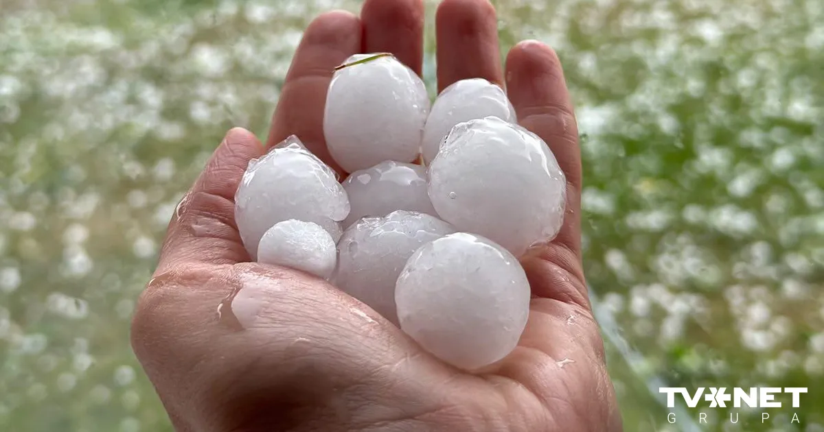 FOTO Jelgavas novada iedzīvotājus pārsteiguši lieli krusas graudi