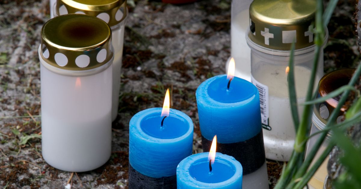 Peeter Järvelaid: Minu esimene loeng Balti ajaloost Kasahstanis