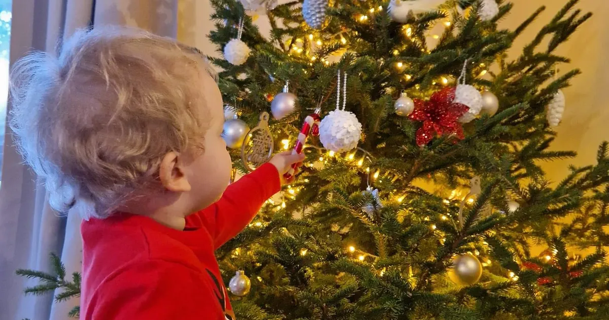 GALERII Oh, kuusepuu, oh kuusepuu ehk Saarte Hääle lugejate jõuluaegsed ...