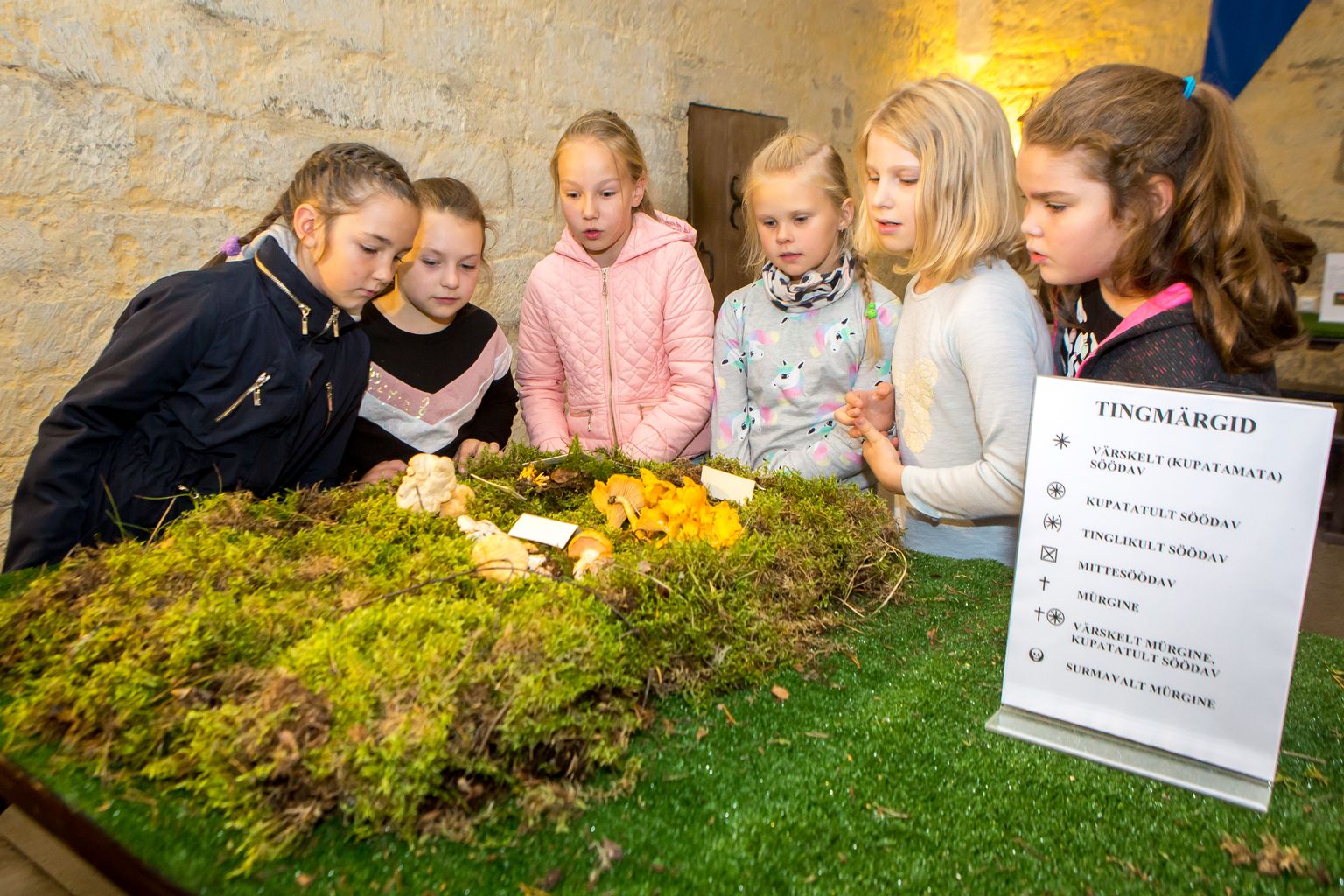 Tühi seenemets andis vaevu näituse kokku