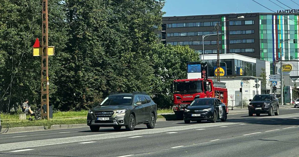 FOTOD Tallinnas kukkus tiheda liiklusega teele suur puu